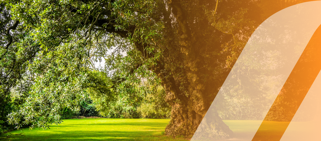 Marketing & sales alignment: Lessons from 20+ years in technology sales ...